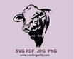 Beefmaster cattle svg vector design, bull cuttbale clip art file ...