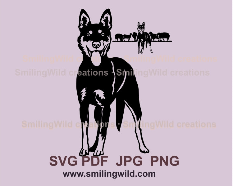 Herding Australian kelpie svg dog vector clip art, working kelpie digi ...