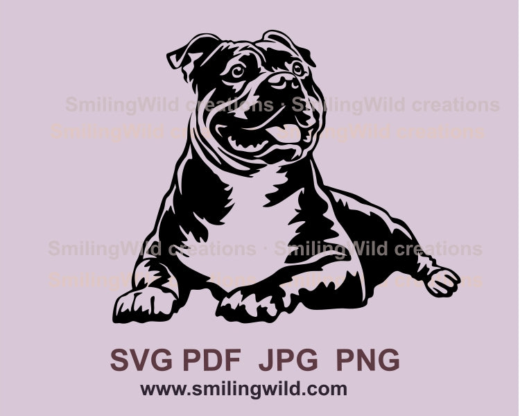 American bully svg dog vector graphic clip art, american bully digital ...