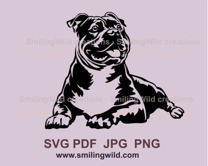 American bully svg dog vector graphic clip art, american bully digital ...
