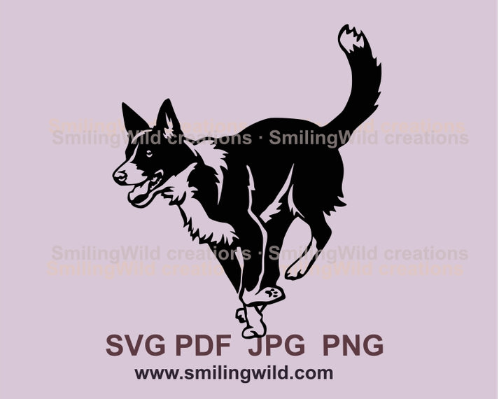 Smooth border collie svg clip art, running dog cuttable vector file ...