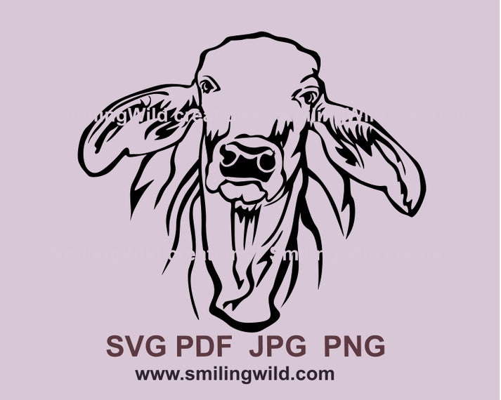 Brahman cattle svg cuttable clip art file, Brahman cow vector graphic ...