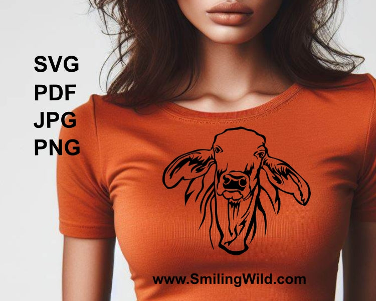 Brahman cattle svg cuttable clip art file, Brahman cow vector graphic ...