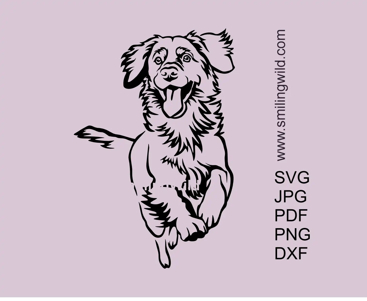Duck Toller SVG, PNG, DXF | Dog Clip art & Cut Files – Smiling Wild svg ...