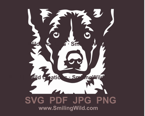 Smooth border collie svg clip art portrait, dog white vector graphic f ...